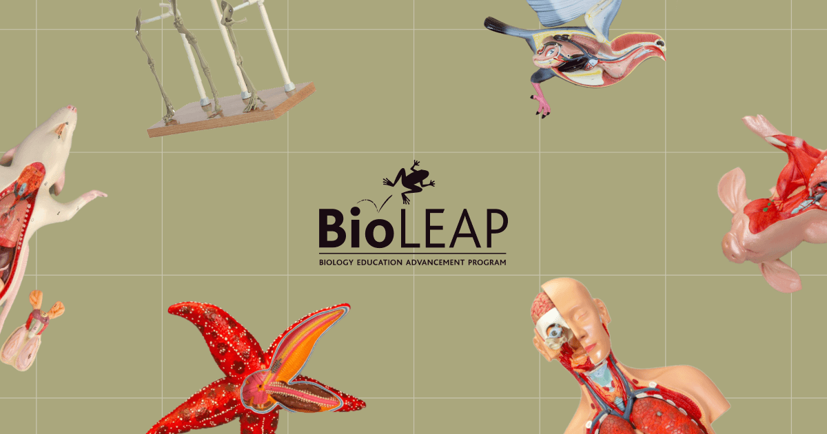 Free Humane Education Lesson Plans | Animal Use in Science