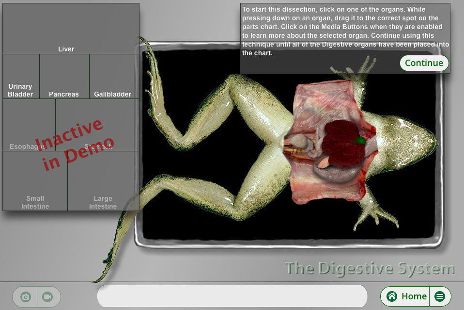 eMind Frog | BioLEAP