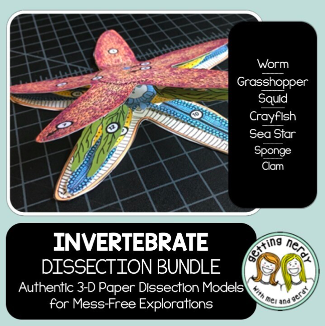 Dissection - Invertebrate Animals Bundle | BioLEAP