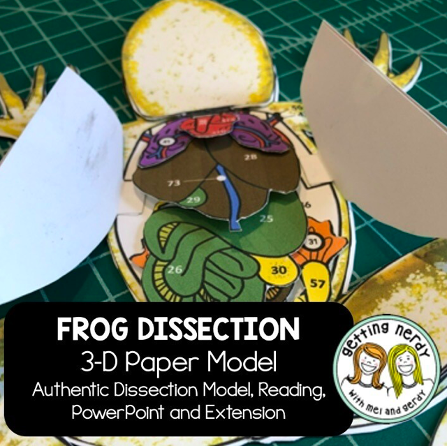 Frog Paper Dissection - Scienstructable 3D Dissection Model | BioLEAP