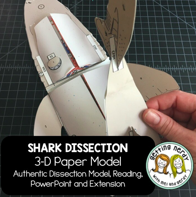 Shark Paper Dissection - Scienstructable 3D Dissection Model | BioLEAP