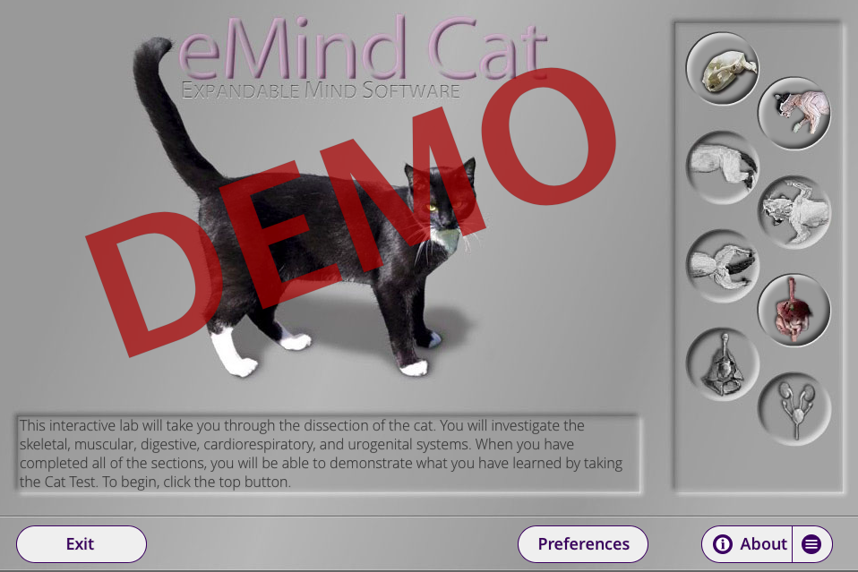 eMind Cat | BioLEAP