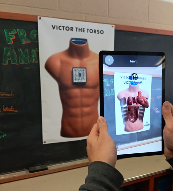 Victor the AR Torso: 2D Banner | BioLEAP