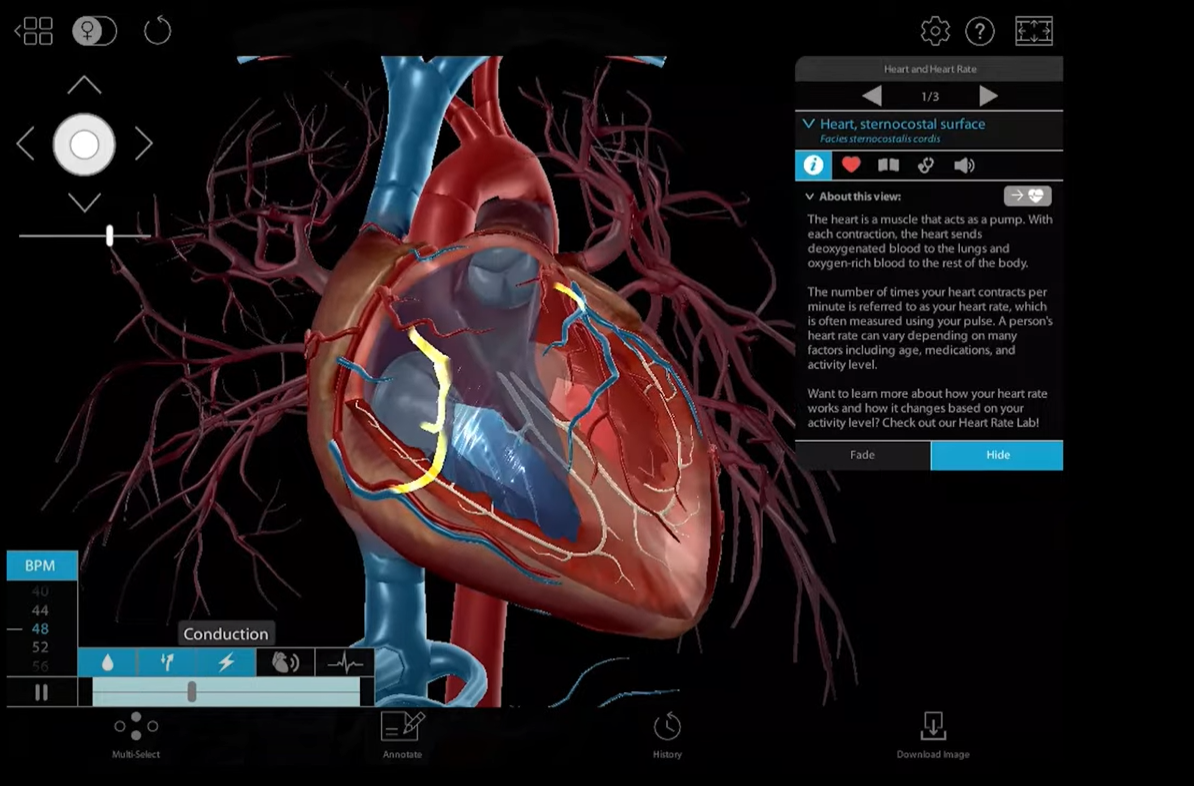 Visible Body | BioLEAP